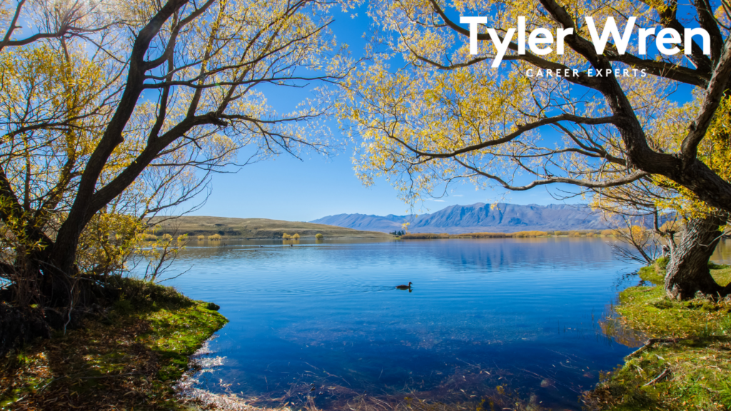 Advance Your Career with Regional Accounting Opportunities - Tyler Wren